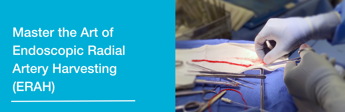 Endoscopic Vessel Harvesting (EVH) Learning Platform